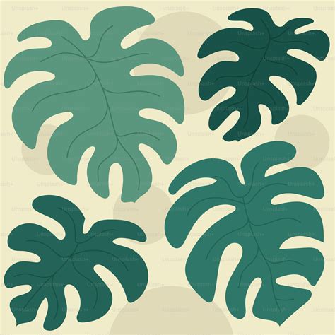 흰색 배경에 녹색 나뭇잎 그룹 벡터 Unsplash의 자연 이미지