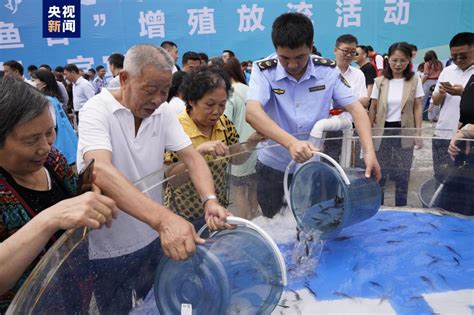 ယန်ဇီမြစ် Sturgeon အကောင်ရေ ၇၁၀၀၀၀ ကျော်ကို လွှတ်ပေး