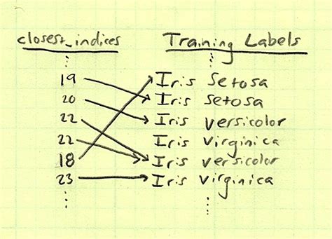 Data Science Basics Vectorization And Broadcasting Simple Programmer