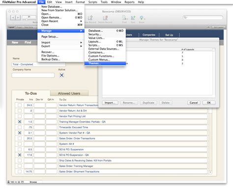Filemaker Themes Best Practices Db Services