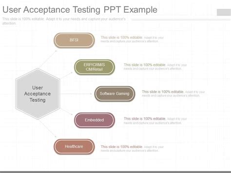 Different User Acceptance Testing Ppt Example Powerpoint Slide Templates Download Ppt