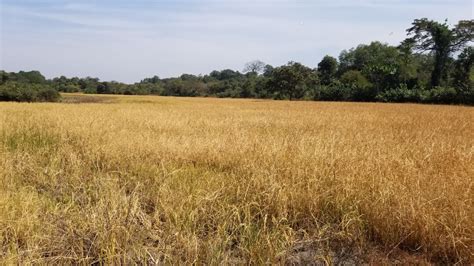 Sucer Les Seins De Sa Partenaire Pr Vient Il Vraiment Le Cancer Du Sein Universciences