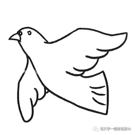 一笔画鸽子简单 简笔画 第7页 大山谷图库