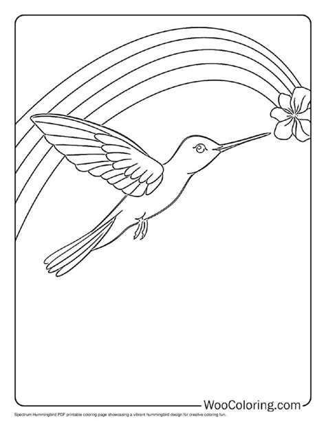 100 Hummingbird Coloring Pages Free Pdf To Print Woo Coloring