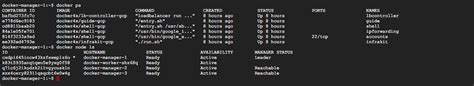 Testing Docker For Gcp Hands On Part 1 Basic Setup
