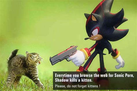 Shadow Dislikes Sonic Porn Shadow The Hedgehog Photo Fanpop