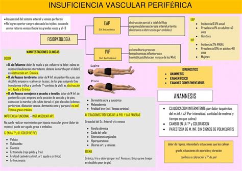 Flashcards De Insuficiencia Vascular Periférica Por Andy Sawmg Udocz