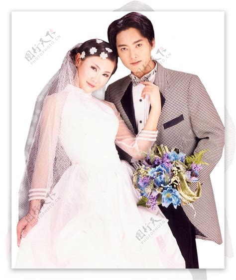婚纱礼服0009图片素材 编号20241733 图行天下