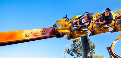 Wooden Roller Coaster Gold Striker Californias Great America