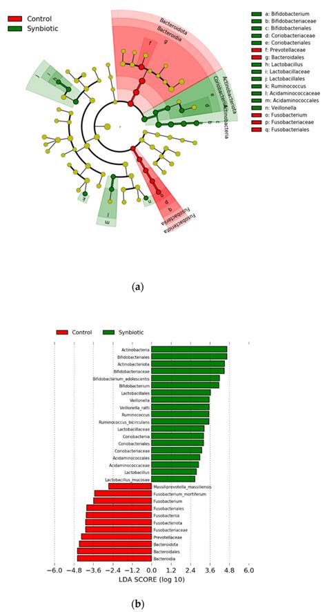 Effects Of Synbiotic Supplementation On Chronic Inflammation And The Gut Microbiota In Obese