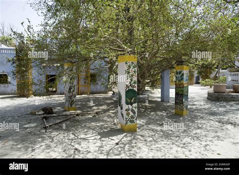 Tree Shree Tatiya Sthan Mathura Uttar Pradesh India Asia Stock