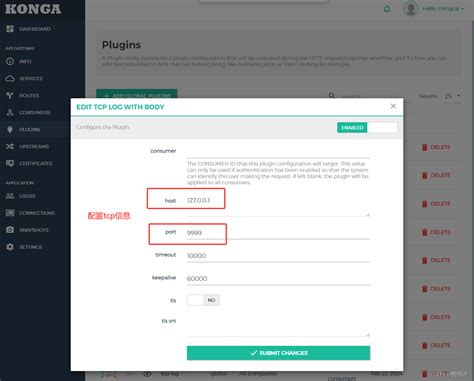 网关kong记录接口处理请求和响应插件 tcp log with body的安装 kong网关 tcp配置 csdn博客