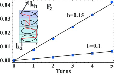 The Longitudinal Polarization As A Function Of The Number Of Turns In