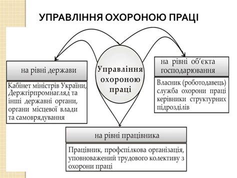 Державне управління охороною праці державний нагляд і громадський контроль за охороною праці
