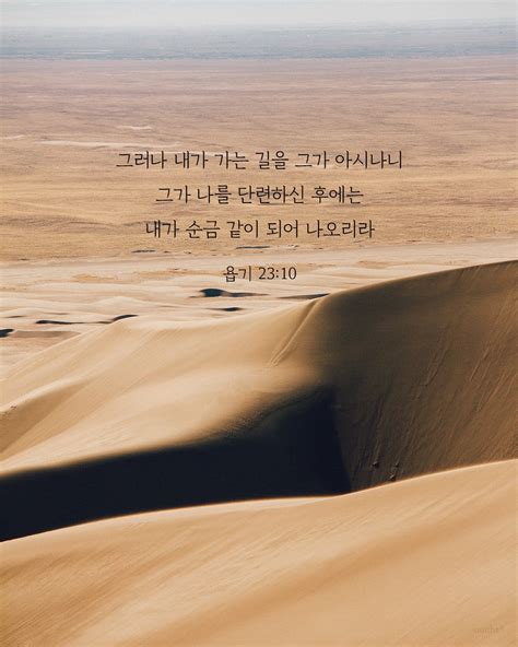 스미다 💌오늘말씀편지 ⠀ ⠀ 욥기 23 10 ⠀ 그러나 내가 가는 길을 그가 아시나니 그가 나를