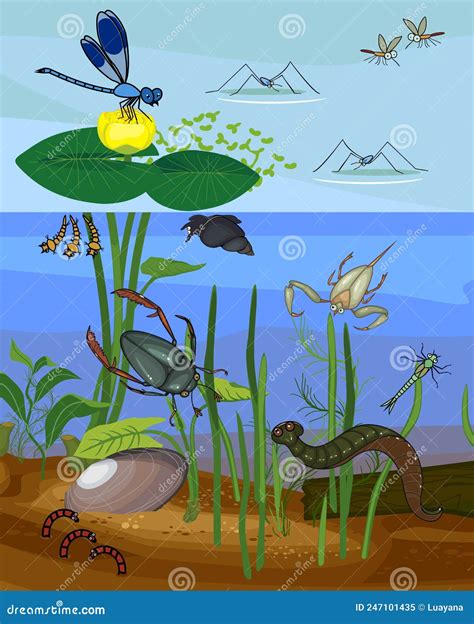 Biotope Ecosystem Neon Glow Icon Illustration Cartoon Vector 271084937
