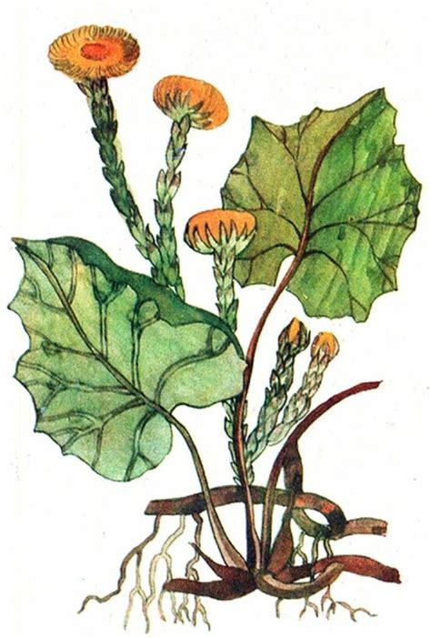 Рисунки матери и мачехи для детей