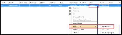 Performing A Windows Or Linux Server Backup Dell Powerprotect Dd