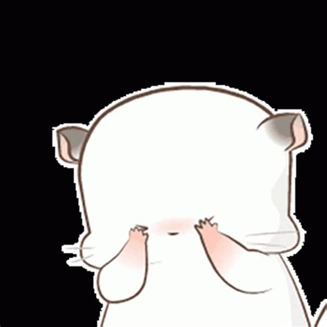 Cute Kitty  Cute Kitty Peek A Boo Discover And Share S