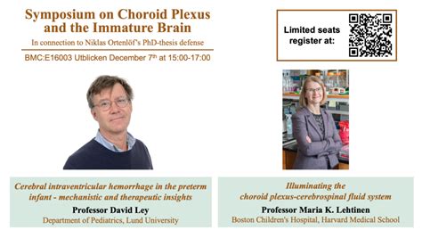 Seminar On Choroid Plexus And The Immature Brain Neonatal Neuroprotection