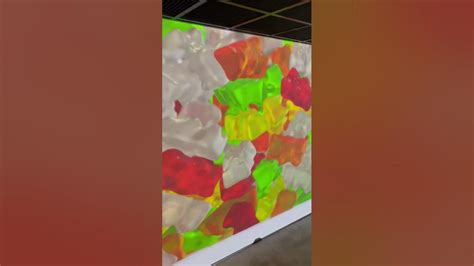 귀여운 하리보 짤들 ️ Youtube