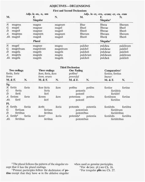 Latin Grammar Adjectives Dropout Latin