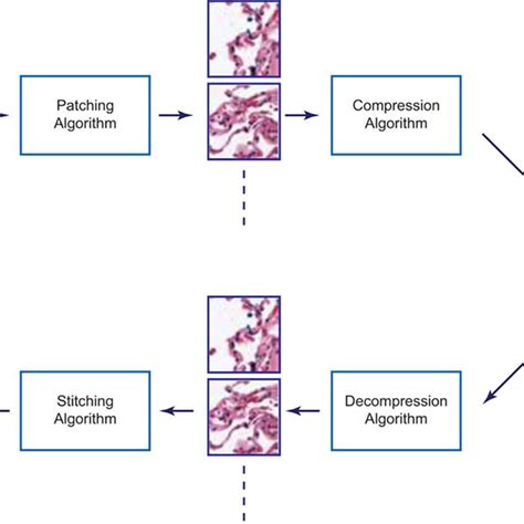 Representation Of Compression Model Architecture Latent Features Are Download Scientific