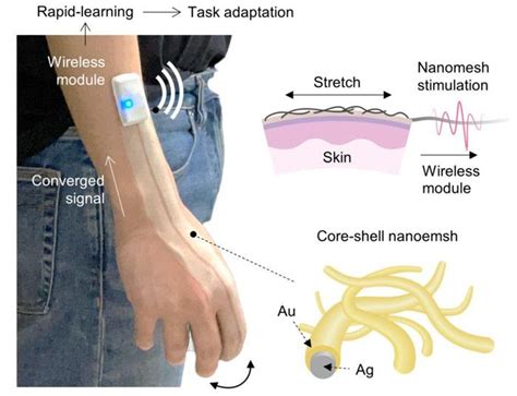 Spray On Smart Skin Reads Typing And Hand Gestures Ieee Spectrum