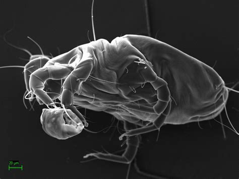 The Science Of Dust Newsroom Dyson Australia