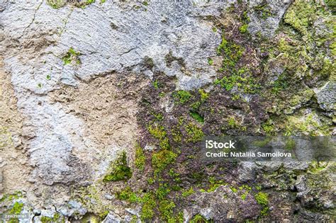 벗겨진 노란색 석고와 노출된 콘크리트가 있는 오래된 금이 간 벽 0명에 대한 스톡 사진 및 기타 이미지 0명 거친 건물 외관 Istock