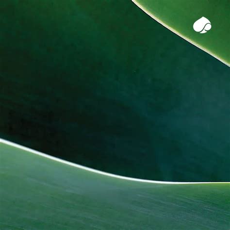 Capgemini Data And Ai On Linkedin Iwtlondon Dataandai Datacatalog Datagovernance