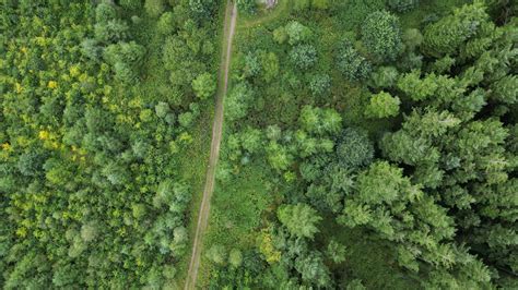 54143 Fotos Y Imágenes De Culitoshermosos Gratis · Banco De Fotos Gratis