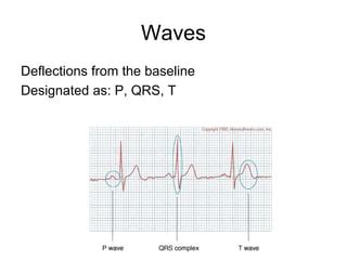 Basic Principles Of Cardiovasctular System Ppt
