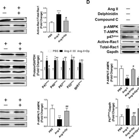 Chemical Structure Of Delphinidin Dp Download Scientific Diagram