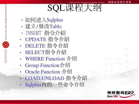 Oracle Sql 讲义word文档在线阅读与下载无忧文档