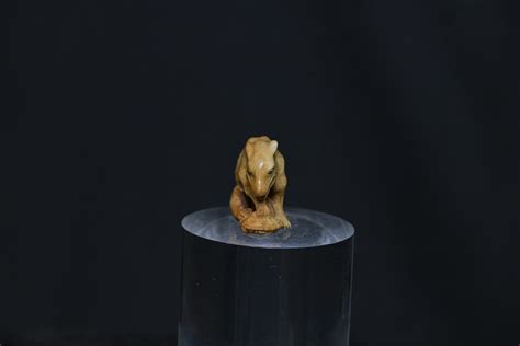 Netsuke Dog And Turtle Ivory Supein Nihonto