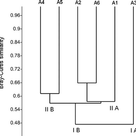 Clustering Dendrogram Of Different Samples Using Braycurtis Similarity