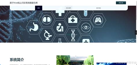 Springboot毕设基于hive线上问诊系统数据仓库源码论文部署周岩 基于hive问诊分析信息系统 Csdn博客