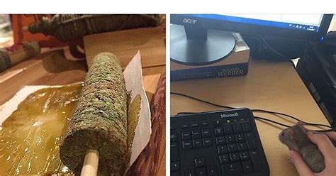 New Razor Mouse Album On Imgur