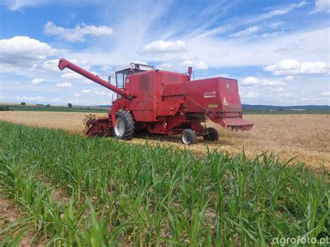 Bizon Z056 Obrazek Fotka Zdjecie Photo 843038 Galeria Rolnicza