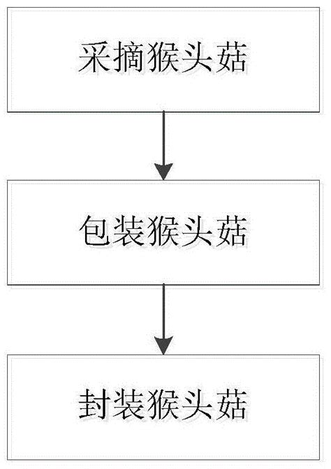 一种猴头菇的保鲜运输方法与流程
