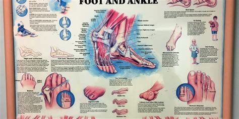 Best Tips For Taking Care Of Your Healthy Feet