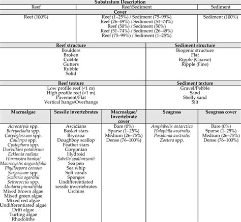 Marine Video Habitat Classification Scheme Download Table