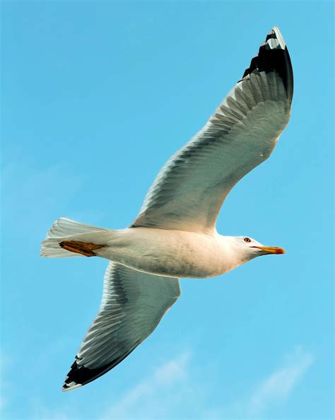 Tipscreenimage Photos Download The Best Free Tipscreenimage Stock