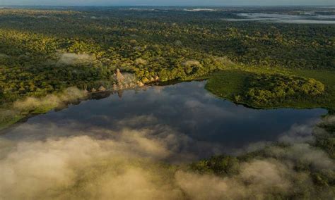 Parque Nacional Yasuní El área Protegida Más Grande De Ecuador Billiken
