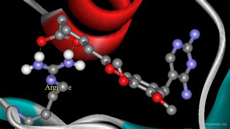 Principles Of Structure Based Design Drug Design Org