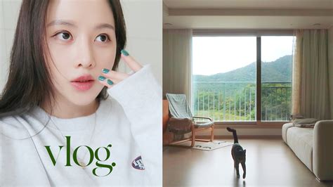 세입자 찾기에 그 누구보다 진심인 사람 🏠vlog Youtube