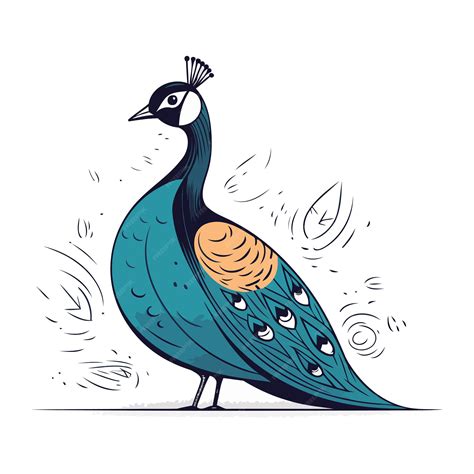 Premium Vector Peacock Hand Drawn Vector Illustration Isolated On