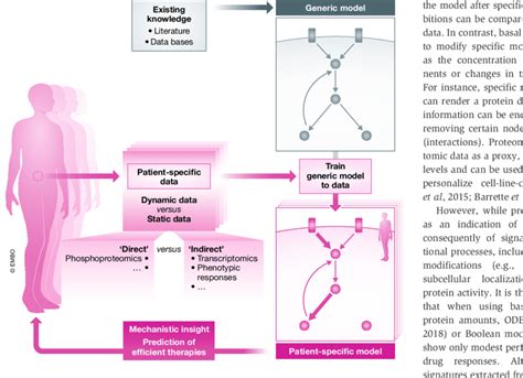 schematic of the cycle to generate patient specific dynamic models
