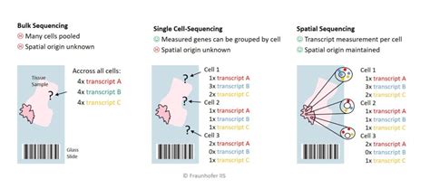 Spatial Biology 101
